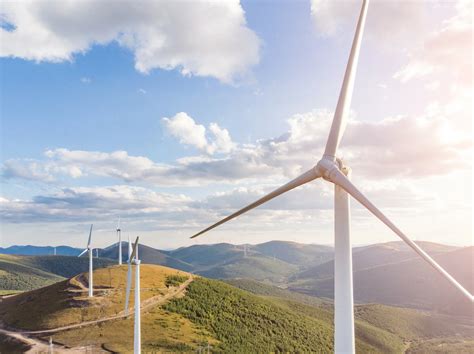 Basic Self Aligning Ball Bearings Comdale Bearing