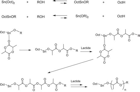 Tin Octoate Definition At Ava Lazarev Blog