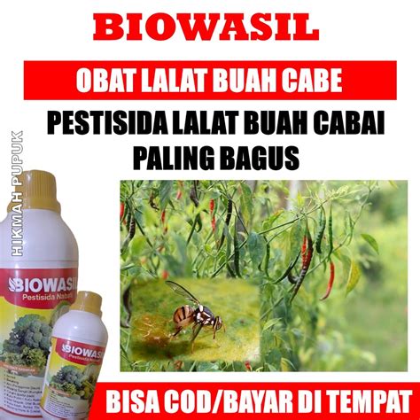 Jual Pupuk Biowasil Isi 500 Ml Obat Lalat Buah Cabai Paling Ampuh