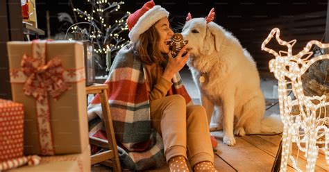 크리스마스 모자를 쓰고 격자 무늬를 입은 여성의 초상화는 집에서 아름답게 장식된 테라스에서 새해 연휴를 축하하는 귀여운 강아지와 함께 진저브레드 쿠키로 개에게 먹이를 준다