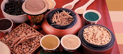 බෙහෙත් අනෝදා අපේ ඔසුපැල Medicinal Plants Of Sri Lanka Facebook