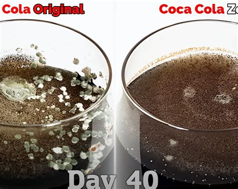 Man Leaves Glasses Of Coke And Coke Zero Out For Days To See What Happens