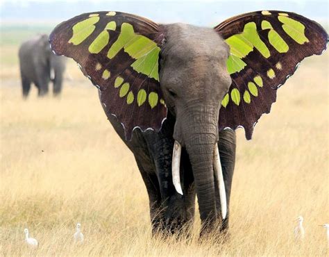 Fixing Bugs In Running Java Code With Dynamic Attach Rjava