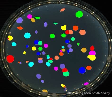 ＜halcon＞分割粘连区域（分水岭算法）halcon木桩粘合分割 Csdn博客