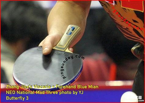 Zhang Jike Equipment Pingsunday