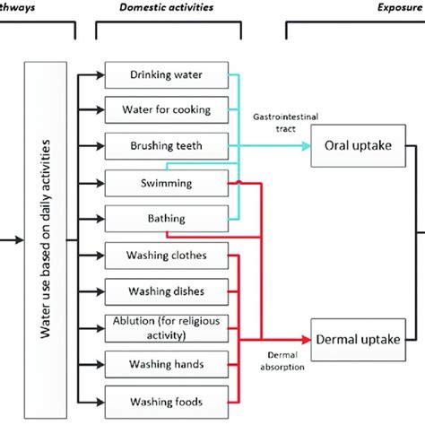 Environmental Pathways Domestic Activities Basis For Exposure