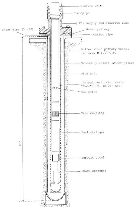 Diagram Of A Typical Buffer Tube In Buffer Store 21 Download Scientific Diagram