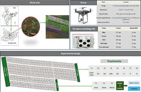 From Sky To Soil How Drones Are Revolutionizing Crop Monitoring Rice Today