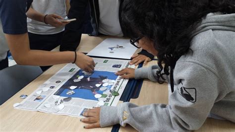 Peppered Moth Simulation Winchscience