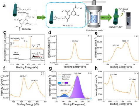 Synthesis And Characterization A Schematic Representation Of Synthesis Download Scientific