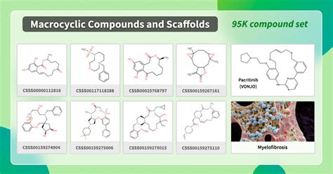 Chemspace Macrocyclic Compounds And Scaffolds For Analogs Of Anti