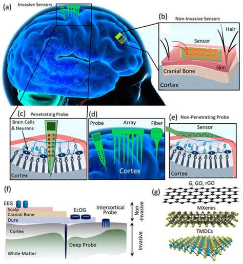 Jfb Free Full Text Functional Two Dimensional Materials For Bioelectronic Neural Interfacing