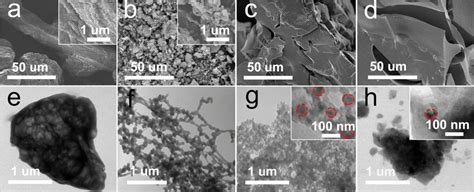Sem Micrographs Of Cellulose A Cellulose Br B Cd Mip C Cd Nip
