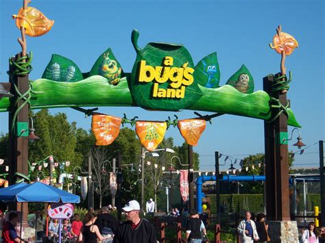A Bugs Land A Photo On Flickriver
