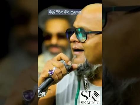 මල් වැදිල මද සුලඟෙ😂 Like Trending Subscribe Funny Youtube