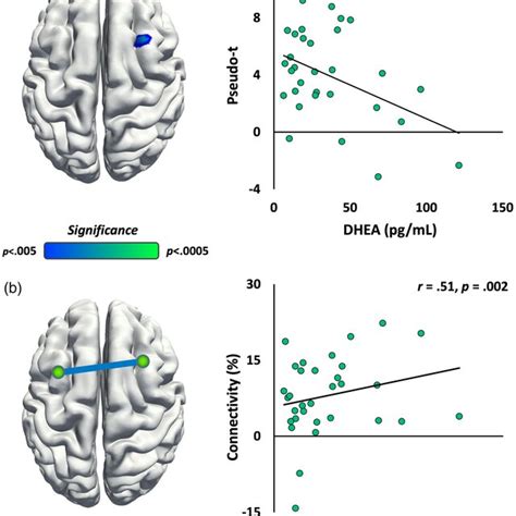A Significant Positive Correlation Between Dhea And Age For The Whole Download Scientific