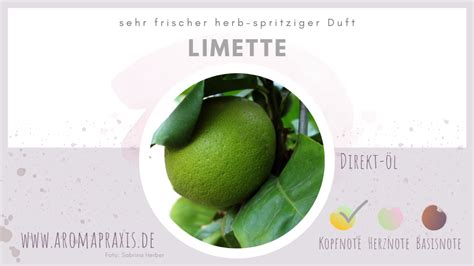 Limette Aromatherapie