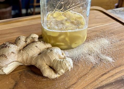 Ginger Bug Wild Woods Homestead