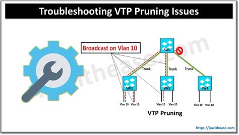 Troubleshooting VTP Pruning Issues Common Pitfalls And Solutions IP With Ease