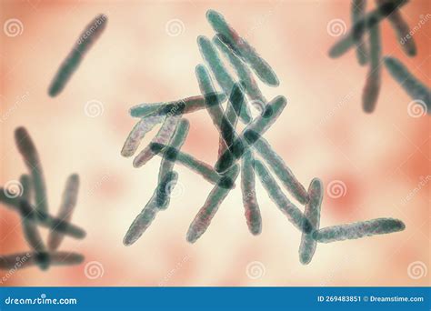 Mycobacterium Ulcerans The Causative Agent Of Buruli Ulcer 3d