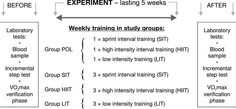 Effects Of Polarised Sprint Interval High Intensity Interval And Low Intensity Training