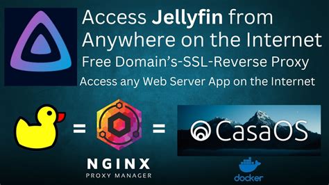 Access Jellyfin And Any Web Server App On The Internet Free Domain Ssl And Easy With Nginx