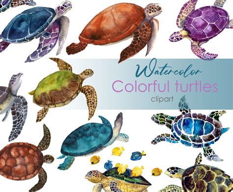 Watercolor Sea Turtles Clipart Ocean Hand Drawn Cute Clipa Inspire