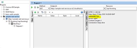 Header Injection Policy Mulesoft Api Manager Policy