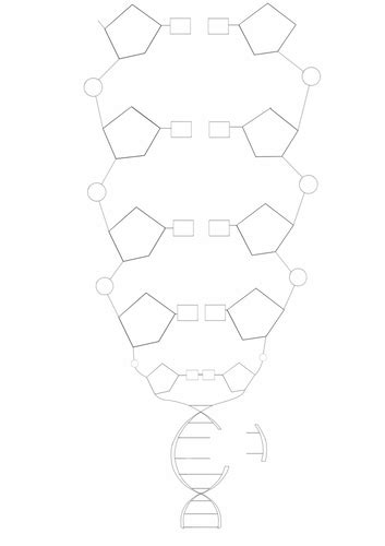 Genetics Science Display Board Genetic Engineeringcloneschromosomes