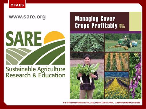 Sarah Noggle Cover Crop Decision Tool Selector Ppt