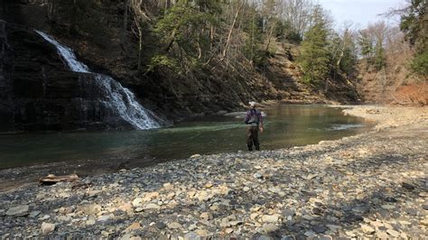 Fishing For Stream Trout Nysdec