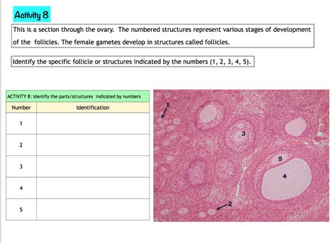 Solved Activity 7 Activity 7 Identify The Parts Structures Chegg Com