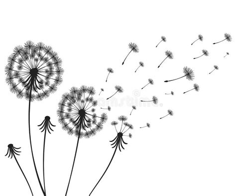 Vector Illustration Dandelion Time Two Dandelions Blowing In The Wind