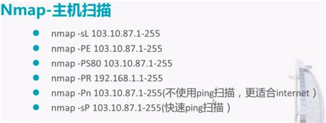 Nmap Zmap使用 Waynamigos Blog