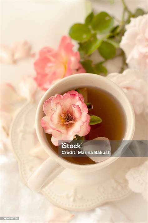 빈티지 찻잔 및 핑크 장미 맛 있는 아름 다운 아침에 향기로운 차 파스텔 색조 0명에 대한 스톡 사진 및 기타 이미지 0명