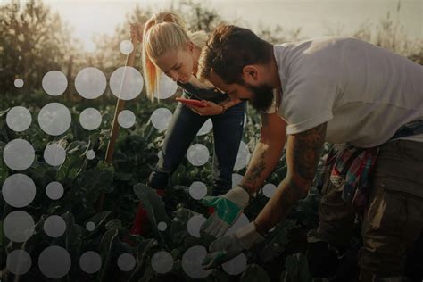 Material Circularity Indicator Mci A Key Metric For Circularity