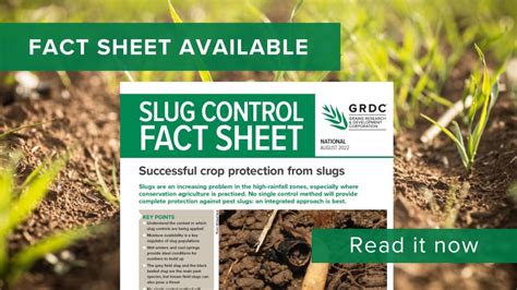 Grains Research And Development Corporation On Linkedin Increasing