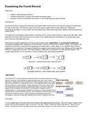 Fossil Record Lab Doc Examining The Fossil Record Objectives Analyze Characteristics Of