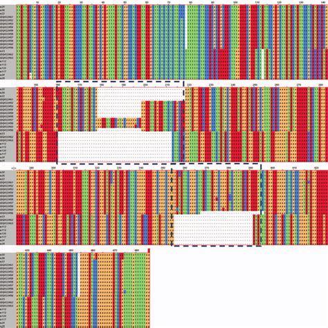 Multiple Alignment Of Nucleotide Sequences Obtained From 10 Isolates