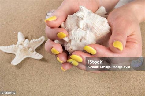 노란색과 여자 손톱 큰 껍질을 손에 들고와 배경에서 바닷가 모래에 불가사리 손톱에 대한 스톡 사진 및 기타 이미지 손톱 해변 가까운 Istock