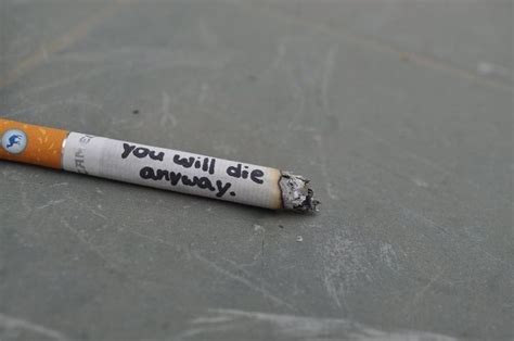 پادشاه اِلف‌ها لیمیتم On Twitter هربار میخوام سیگارو ترک کنم T7cso7giun Twitter