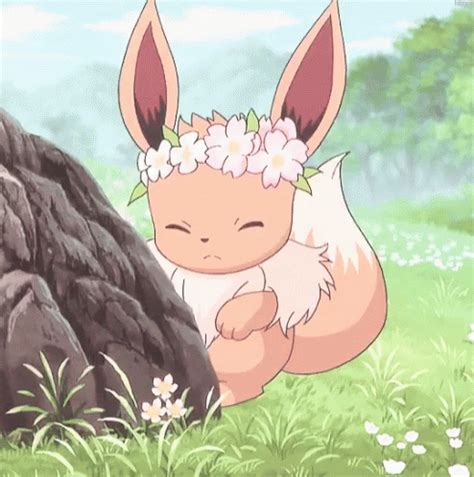 Eevee Hide  Eevee Hide Pokemon Discover And Share S