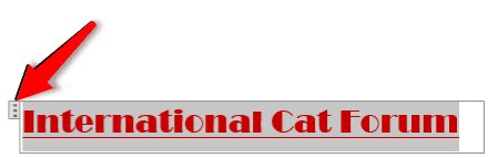 How To Create A Fillable Form In MS Word OfficeBeginner