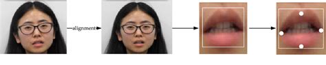 Figure 1 From Automatic Lip Reading System Based On A Fusion