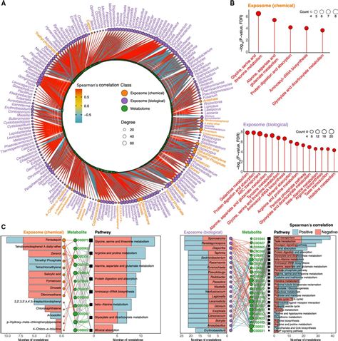 Precision Environmental Health Monitoring By Longitudinal Exposome And Multi Omics Profiling