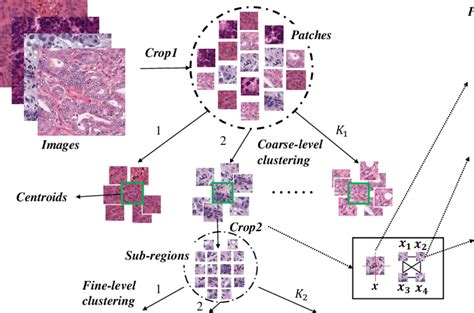 Consistency Based Patch Selection Cps The Left Half Shows The Download Scientific Diagram