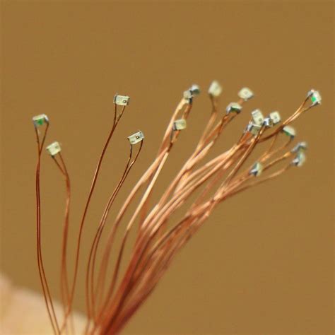 Lightingandelectrical