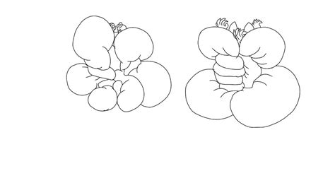 Squeezing Anti Stress Butts Sketch By Dachgum On Deviantart