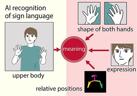 improved accuracy in word level sign language recognition through