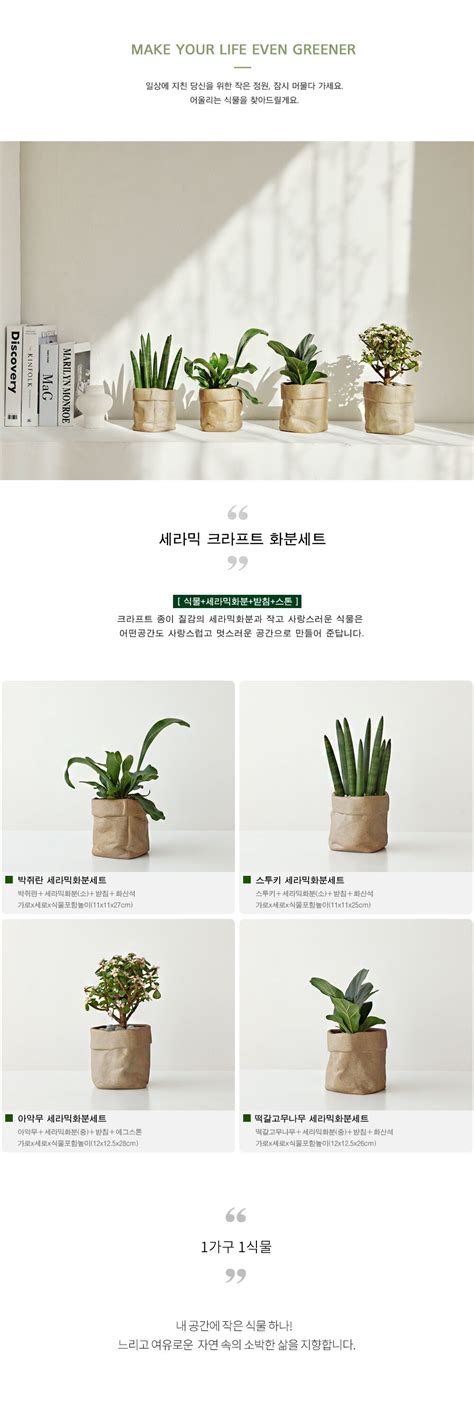 세라믹 크라프트 화분 식물 세트4types식물화분스톤받침 감도 깊은 취향 셀렉트샵 29cm